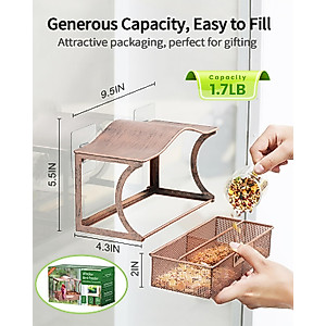 Window Bird Feeder, Desgully Metal Window Bird Feeder, Window Bird Feeders with Strong Suction Cups, Super Adhesive Sheet×4，Large Outdoor Bird Feeder, Bird Watching Gift (Curved)