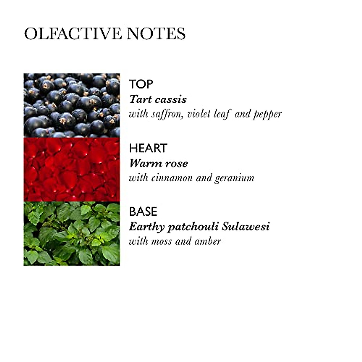 Molton Brown Rose Dunes Body Lotion, 10 fl. oz.