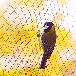 Bird Netting [Heavy Duty] 50’ x 50’ Garden Netting with 1" Square - Nylon Bird Net Chicken Coop Netting Poultry Netting Protect Fruit Tree Plant and Vegetables, Aviary Netting for Farm, Orchard