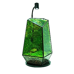 HIRO AQUATICS Mini Terrarium Aquarium Black Spotlight for Potted Plants, Betta Fishes, Bottle Jars, Displays, Indoor Plant, Succulents, Air Plants