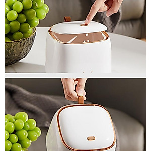 Foraineam 2 Pack Tabletop Trash Can with Pop-up Lid, Mini Plastic Countertop Trash Can Wastebasket Rubbish Bin, Small Desktop Garbage Can with Removable Inner for Bathroom Vanity, Bedroom, Office, Car