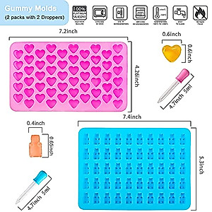 YLhao Gummy Candy Molds Silicone, Mini Fun Gummy Bear Molds - Heart Shaped Mold, 105 Cavities with 2 Droppers Silicone Gummy Molds, Food Grade, Non Stick 2 Pack (Blue, Pink)