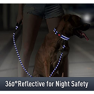 Erbine Airtag Dog Collar for Small Dogs, Reflective Dog Collars with AirTag Holder, Soft Padded & Safety Locking Buckle, Nylon Pet Collar Adjustable for All Breeds, NavyBlue