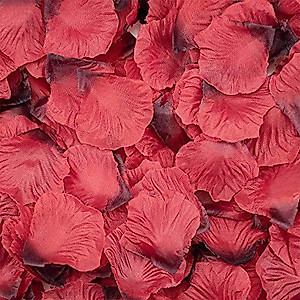 Vanleonet Rose Petals 2000 PCS Artificial Flower Silk Petals,Wedding Party Holiday Decoration for Romantic Night Valentine Day