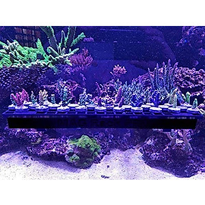Oceans Wonders N52 Mag Rack Pro Magnetic Coral Frag Rack Holds Up To 30 Frag Plugs
