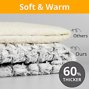 Petace Self Warming Cat Bed, 30" x 20" Ultra Soft Cat Dog Pet Heating Pad for Indoor Outdoor, Non-Slip Heated Dog Mat Thermal Blanket