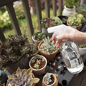 Youngever 4 Pack Empty Glass Spray Bottle, 16 Ounce Clear Glass Spray Bottle for Essential Oils with Extra Durable Trigger Sprayers