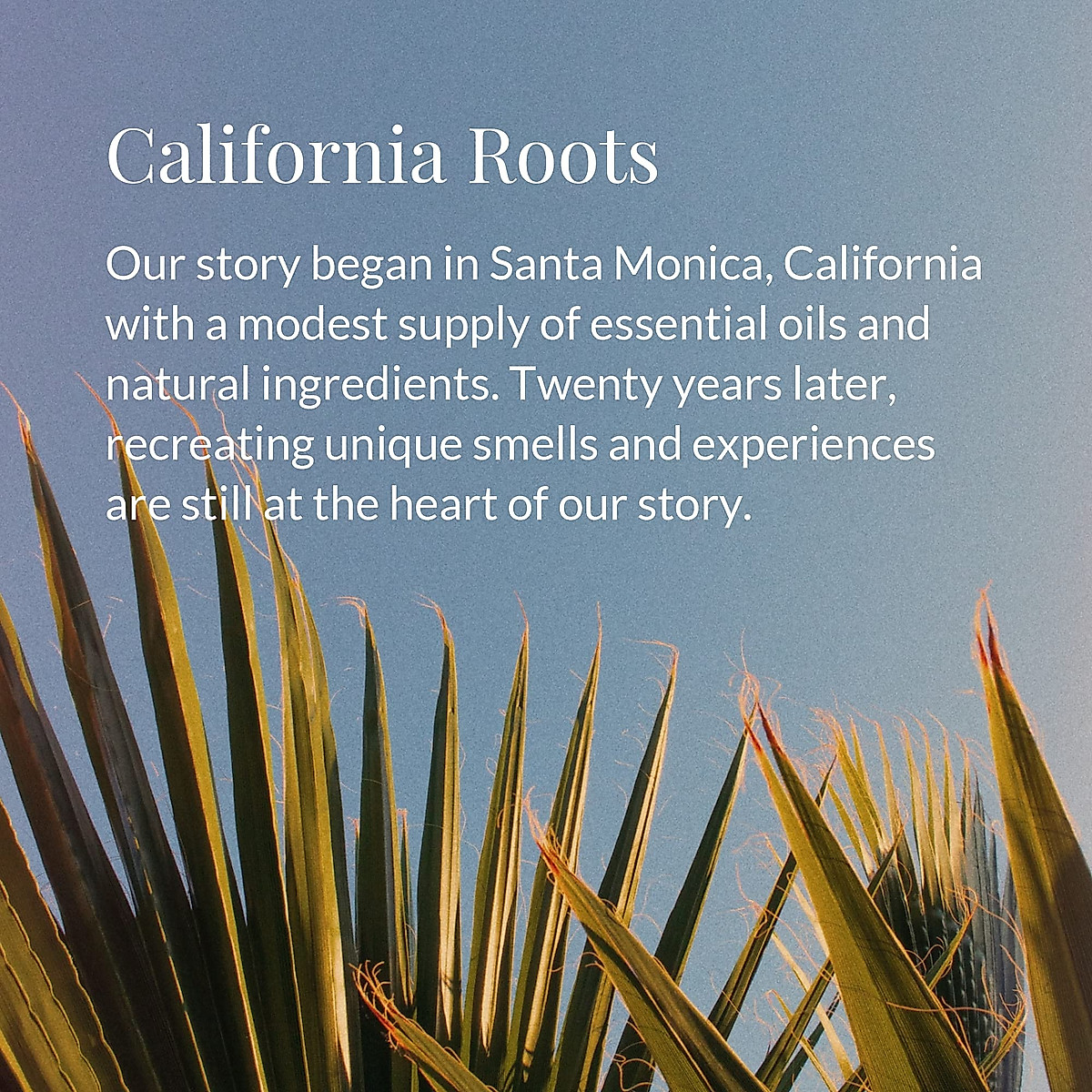 Archipelago Botanicals Pomegranate Eau De Toilette, Women’s Fragrance for Daily Use, Travel Size Cologne Bottle, Pomegranate, Valencia Oranges and White Peaches Scent, 1.64 oz