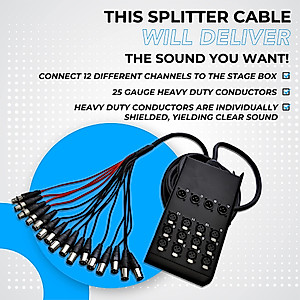 Seismic Audio Speakers 12 Channel Low Profile XLR Send Sub Snake Cable, XLR Splitter Cable, 25 Feet