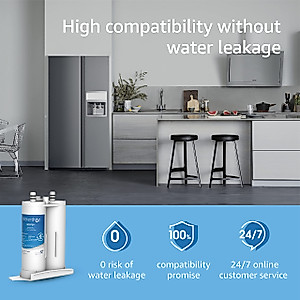 Waterdrop Replacement for Frigidaire® & Electrolux® WF2CB®, PureSource2®, NGFC 2000, FC100, Kenmore® 9916, EWF2CBPA®, 1004-42-FA Refrigerator Water Filter
