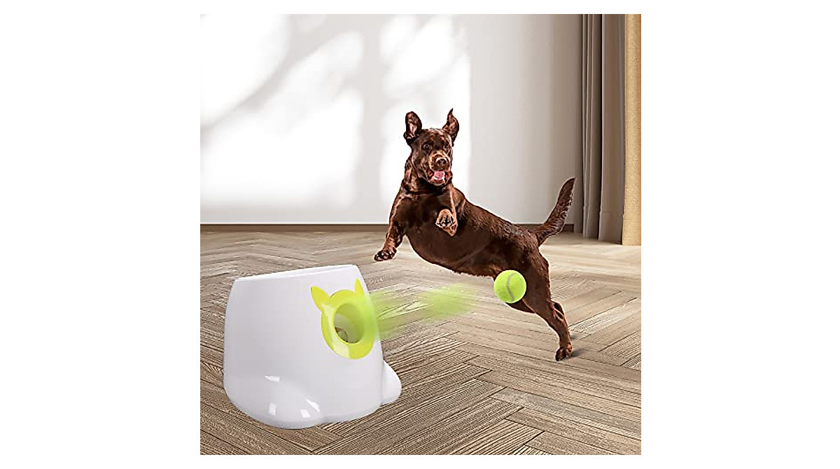 PALULU Automatic Ball Launcher for Dog - 4 Distance Settings | Includes ...