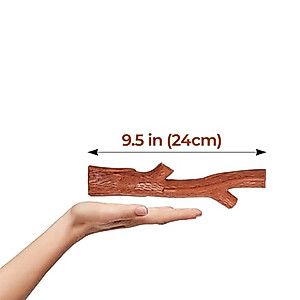 SPOT Bam-bones PLUS Branch -Bamboo Fiber & Nylon, Durable Long Lasting Dog Chew for Aggressive Chewers – Great Toy for Adult Dogs & Teething Puppies under 90lbs, Non-Splintering, 9.5in, Beef Flavor