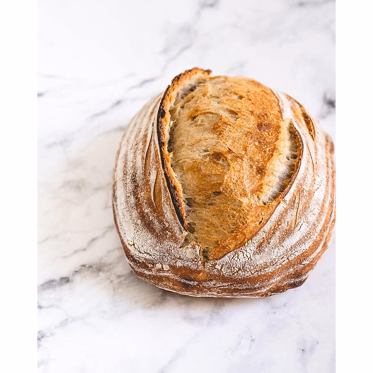 WWJD Worms 900 Year Old Organic Fresh Sourdough Starter Yeast Culture - Dutch/Wales Heritage Starter