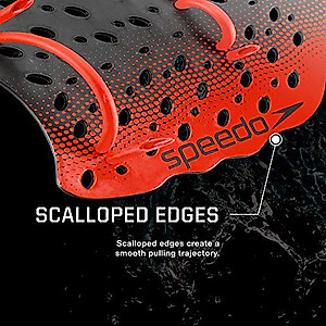 Speedo unisex adult Training Power Plus swimming hand paddles, Blue, Small US