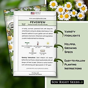 Sow Right Seeds - Feverfew Seeds for Planting - Non-GMO Heirloom Packet with Instructions to Plant an Outdoor or Indoor Herb Garden - Traditional Medicinal Herb, Make Tea & Extract for Migraines (1)