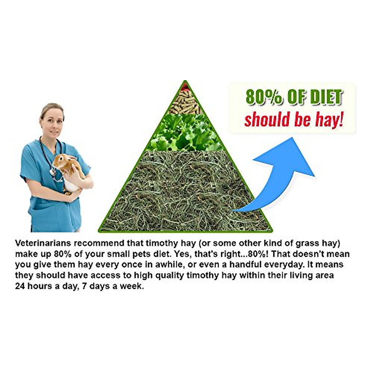 Small Pet Select 3rd Cutting "Super Soft" Timothy Hay Pet Food, 20 Lb.