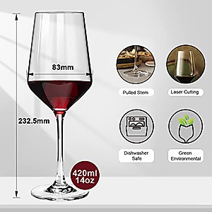 S SALIENT Wine Glasses Set of 6,Long Stem White/Red Wine glasses,14oz Hand Blown Premium Crystal Wine Glass,Gift Packing Burgundy Glasses