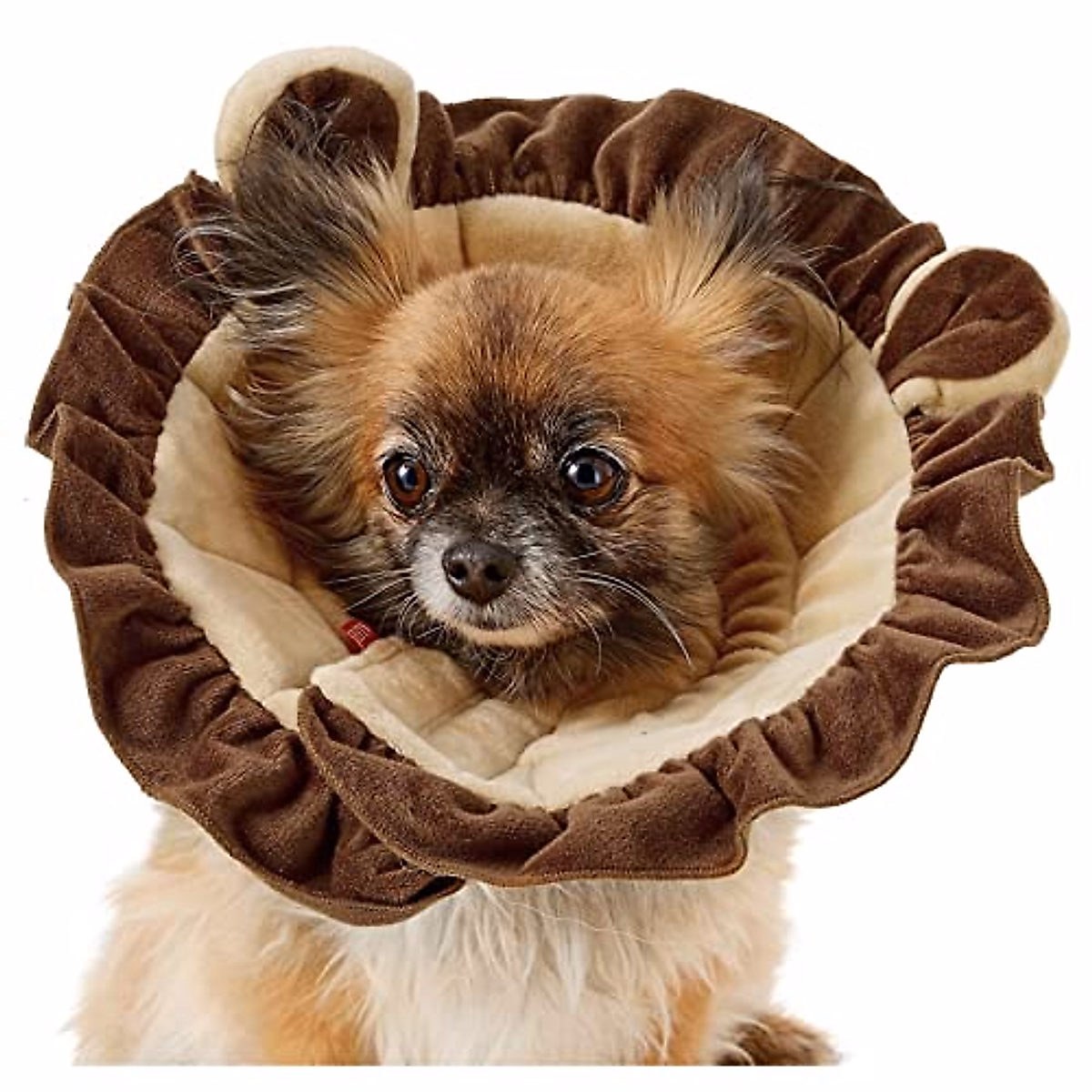 Alfie Pet - Noah Recovery Collar (for Dogs and Cats) - Pattern: Lion, Size: XS