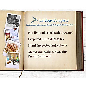 LAFEBER'S Senior Bird Nutri-Berries Pet Bird Food, Made with Non-GMO and Human-Grade Ingredients, for Parakeets & Cockatiels, 10 oz
