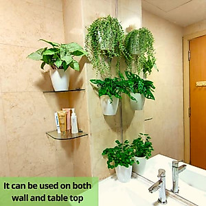 LaLaGreen Wall Planters for Indoor Plants - 10 Pack, 5 Inch Self Watering Plastic Wall Pot, White Wall Mounted Eco Wall Planter System Living Hanging Wall Planter Trendy Live Wall Garden for Herb