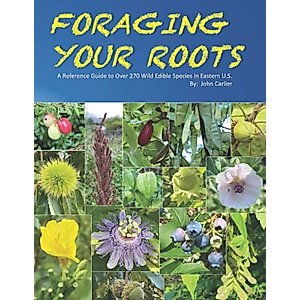 Foraging Your Roots