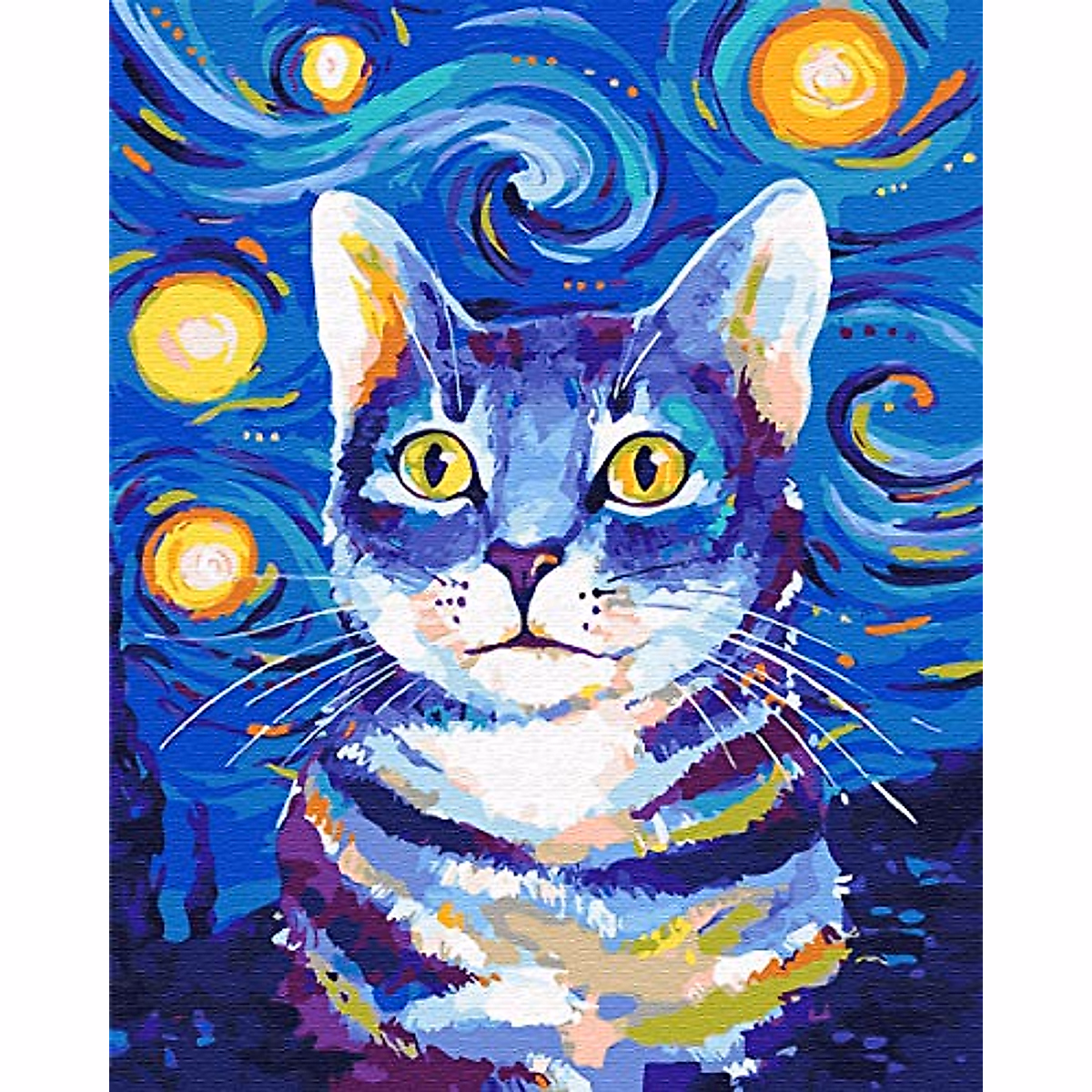 VATO DIY Oil Painting Paint by Numbers kit Canvas Painting for Adults & Kids Beginner,16" x 20"(Starry Sky & Cat)