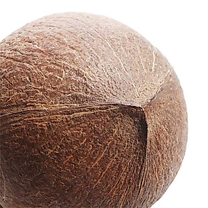 Leadigol Coconut Bird Nest Hut with Ladder for Parrots Parakeet Cockatiel,Hammock Parakeet Budgies Parrot Toy Warm Coconut Woven Straw Natural Winter Cage Hut Tent House Parrot Cage Accessories