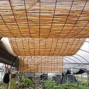Bamboo Reed Fencing Privacy, 2ftX14ft 3.3ftX13.3ft 6ftX16.4ft Reed Screening for Garden Balcony Patio Outdoor, Decorative Bamboo Fence Rolls 2 3 4 5 6 Feet High (Color : Reed Fence, Size : 3x9.8FT)