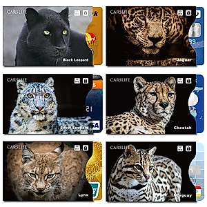 CARSLIFE 12 RFID Blocking Sleeves (9 Credit Card & 3 Passport Protectors) Premium Identity Theft Protection Secure Sleeves Travel Case Cat Design