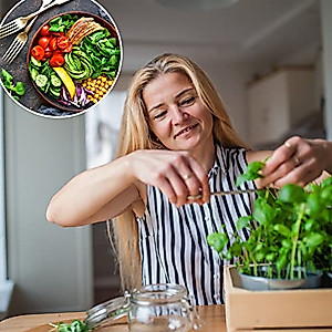 Indoor Herb Garden Starter Kit, Ushine 4 Herb Seeds Grow Kit Basil, Cilantro, Parsley, Mint, DIY Kitchen Plant Grow Kit for Growing Herb Seeds Perfect Gardening Gifts