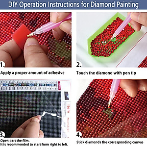 Rousp DIY 5D Diamond Painting Kits for Adults Diamond Art Star Lake Diamond Painting Full Drill Crystal Rhinestone Diamond Embroidery Craft Kits for Home Wall Decor Gifts, 27.5 X 15.7inch