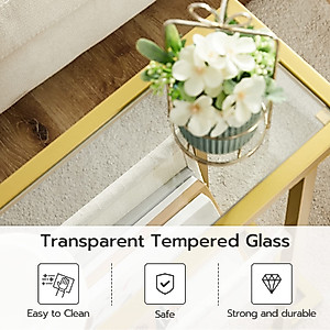 HOOBRO Narrow End Table, Tempered Glass Side Table, Small Nightstand, Bedside with Storage Holder, Coffee Table for Small Spaces, Bedroom, Living Room, Easy Assembly, Sturdy, Gold GD78BZ01
