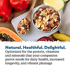 Dr. Harvey's Exotic Parrot Blend, Seedless Blend of Natural Food for Large Parrots