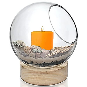 CYS EXCEL Glass Terrarium Candle Holder Bubble Bowl with Wood Base (H:8" W:6.5") | Unique Fish Bowl Aquarium with Wooden Stand | Plant Bubble Dome | Candy Bowl Storage Container