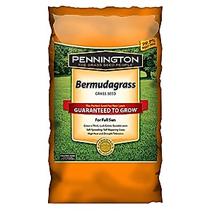 Pennington Seed 1 lb Bermuda Grass Seed