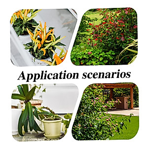 YARNOW Watering Can Succulent Antique Flower Watering Kettle Kids Metal Water Bottles Plant Spray Bottle Watering Pot Watering Flower Kettle Stainless Steel Child Vintage Watering Bottle