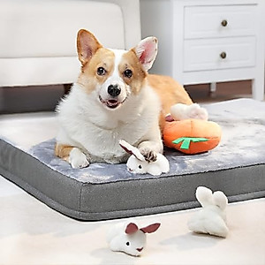 Amazon Basics Hide and Seek Squeaky Dog Plush Toy, Rabbit and Carrot, Orange and white, 5 Pack