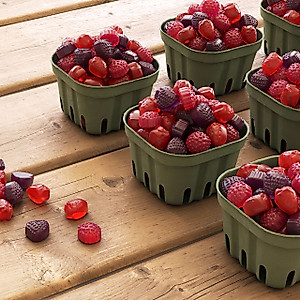 Bundle of Black Forest Juicy Burst Fruit Snacks - Mixed Fruit + Berry Medley, 0.8 Ounce Pouches (40 Count per Box)