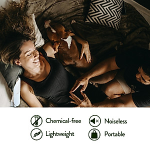 Smart Protector Electronic Bug Trap with Smart UV Light Refills - 5 Glue Bars - Indoor Fruit Fly & Gnat Trap -Bug Trap & Flying Insect Catcher - Pet-Friendly