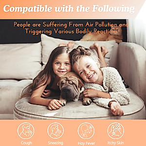 Nispira AER1 Filter Replacement for Holmes Air Purifier Smoke Grabber HAPF30AS-U4R HAPF30AT Odors Dust VOCs Remover 1.2 x 10 x 4.6 Inches, 4 Packs.