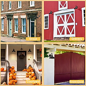 NICOLONOR Outdoor Gooseneck Barn Lights with Dusk to Dawn Sensor, 10.6inch Farmhouse Exterior Light Fixture Wall Mount, Industrial Outdoor Wall Sconces Outside for Barn, Garage, Porch, Patio, 1pack