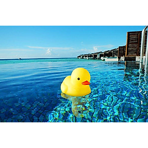 Codall Mini Yellow Rubber Bath Ducks for Child（2.1", 20pcs）