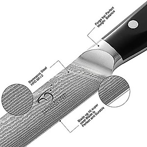 Slicing Knife 8 Inch, Carving Brisket Kitchen Knife Forged with VG10 Super Steel 67-Layer Damascus, Non-slip ABS Ergonomic Triple Rivet Handle, Razor Sharp Lightweight Multipurpose