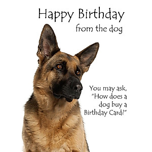 CafePress From The German Shepherd Birthday Card Folded Greeting Card Glossy