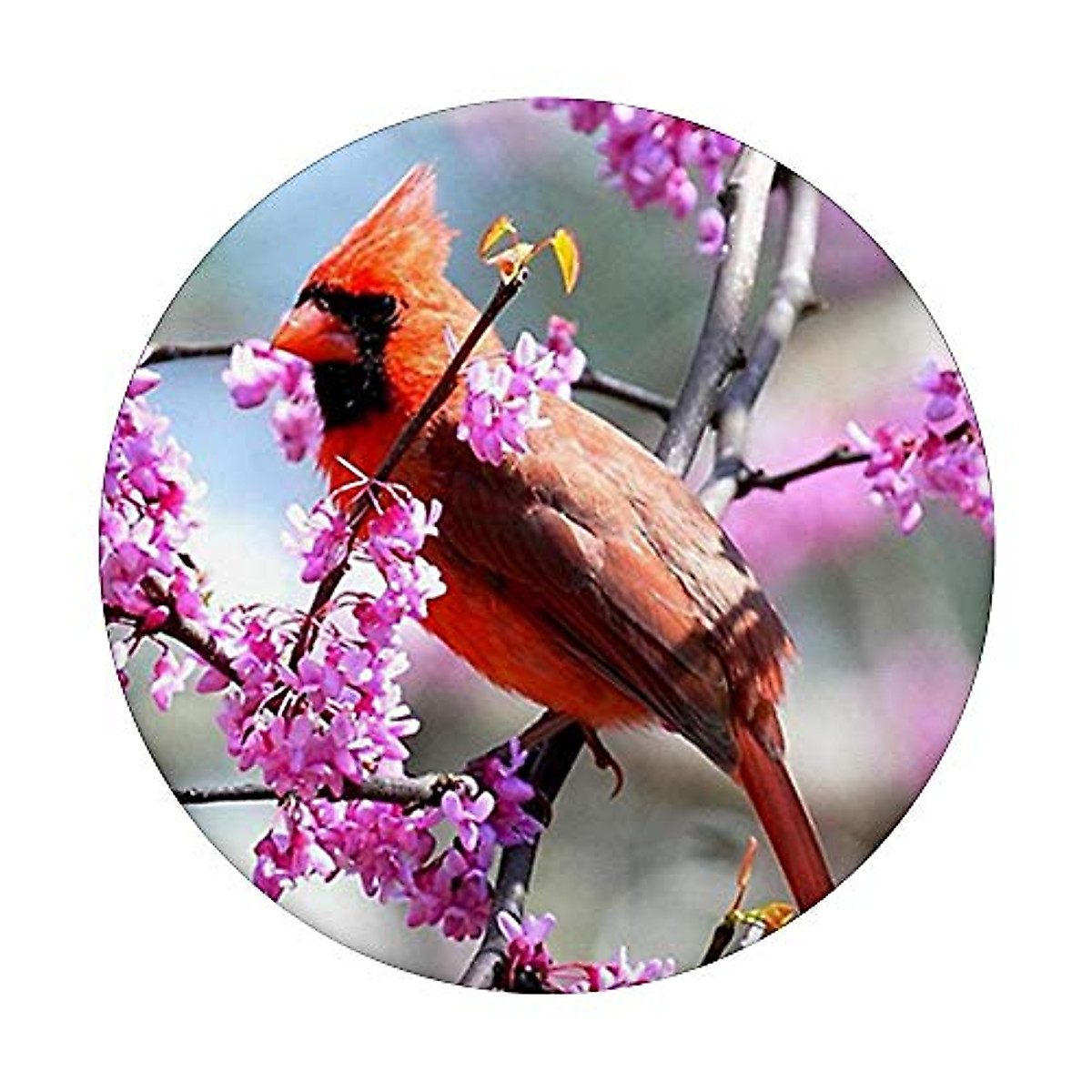 Cute Red Cardinal Bird Floral Design On Foliage Background PopSockets Swappable PopGrip