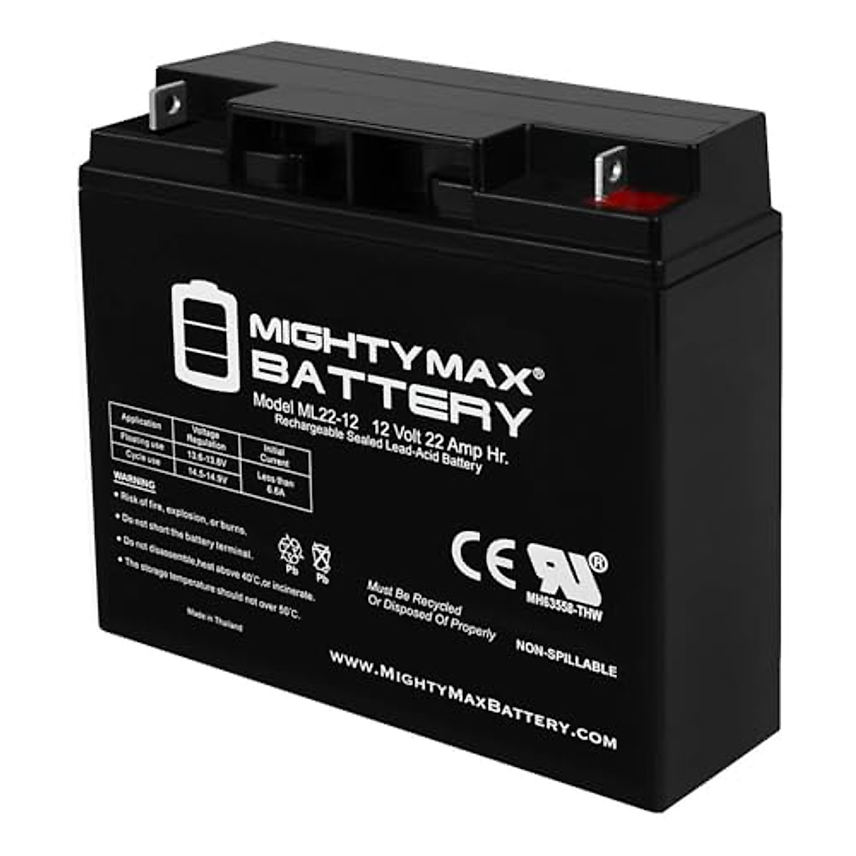 Mighty Max Battery 12v 22ah ups Battery Replaces 21ah leoch djw12-20, djw 12-20
