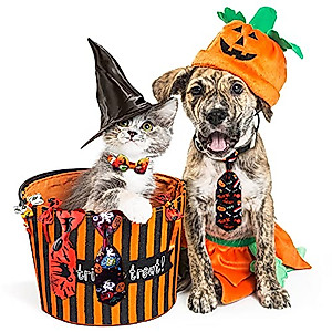 40 Pieces Halloween Pet Neckties and Bow Ties Collars Set Adjustable Pumpkin Skull Cat Bowties Dog Ties with Adjustable Collar Halloween Pet Costume for Dogs Puppies Cats Holiday Daily Wearing