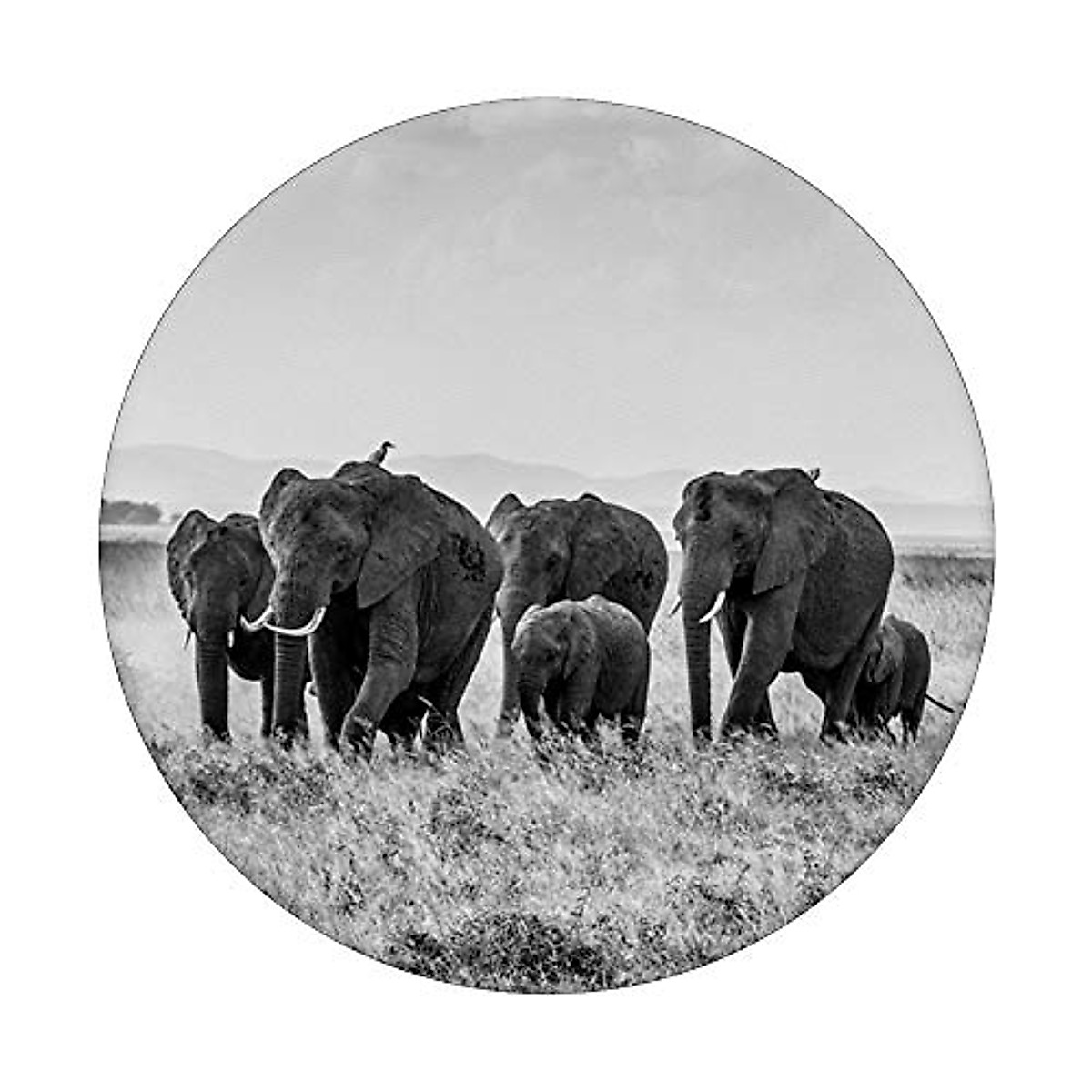 Elephants PopSockets PopGrip: Swappable Grip for Phones & Tablets