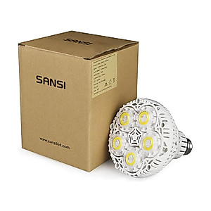 (Updated) BR30 30W LED Light Bulb, 250-300W Equivalent, 5000K Daylight, 4000lm Super Bright Bulb, Non-Dimmable, CRI80, E26 Base, Floodlight for Warehouse Supermarket Logistic Center Church