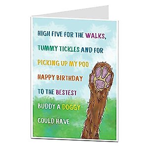LimaLima Birthday Card From The Dog For The Owner Lover Quirky Pet Theme Perfect For Men Women Mum Dad & Husband Wife Quirky Funny Design